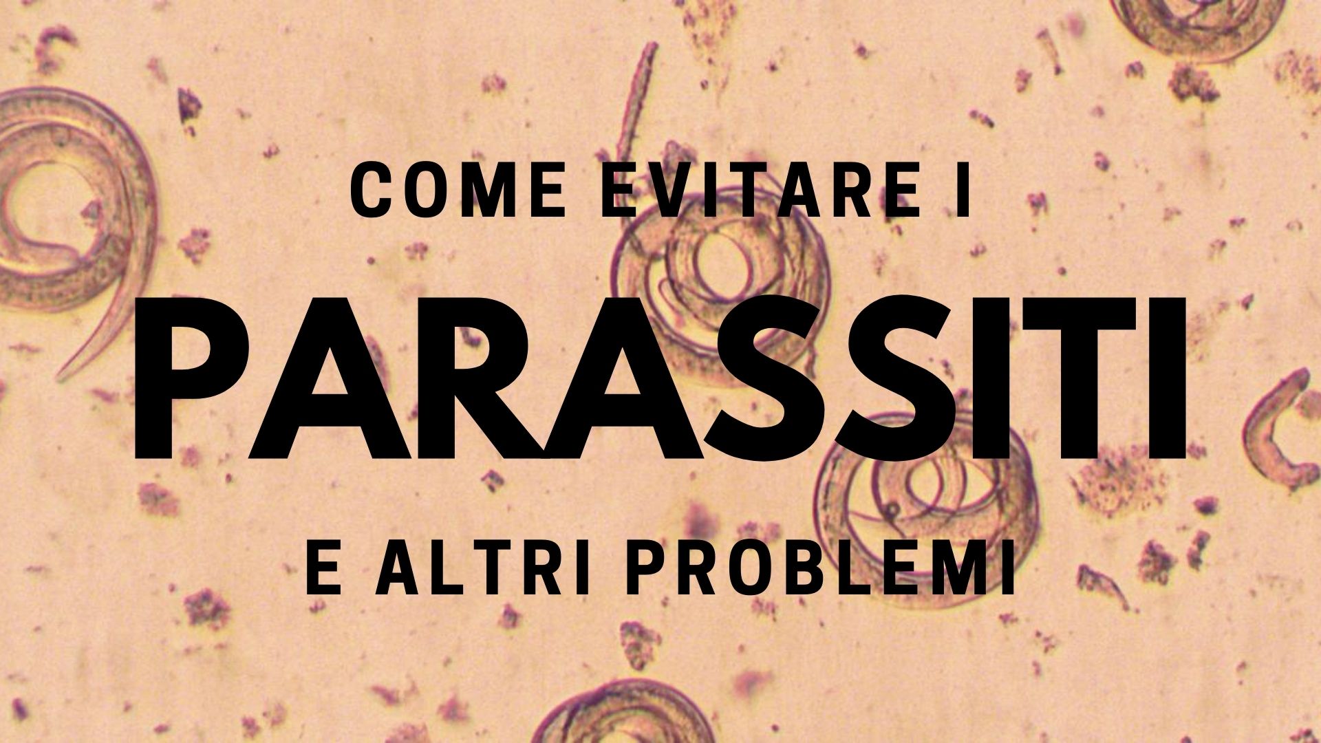 Come Evitare i Parassiti e Altri Problemi