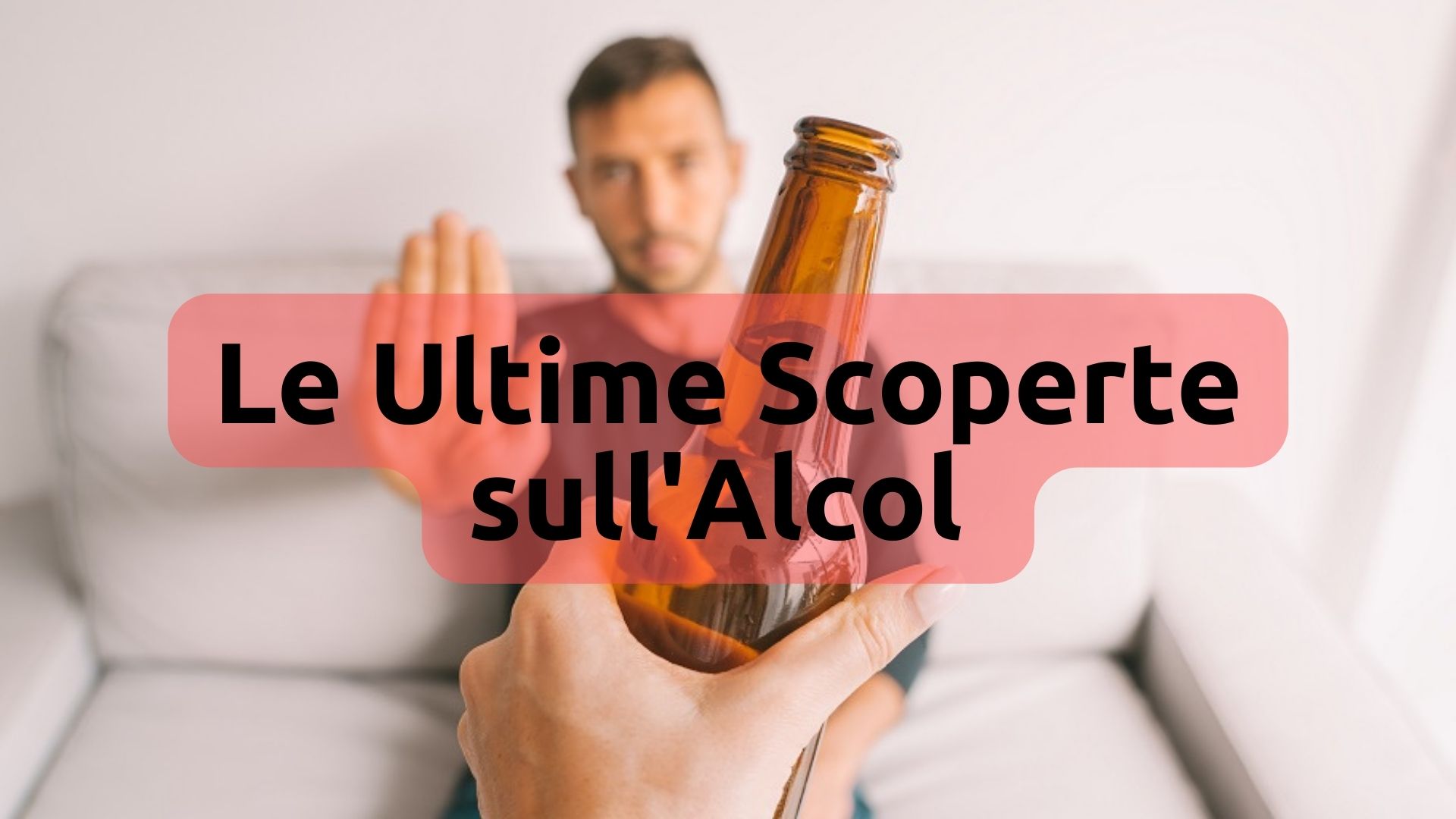 Alcol E Sleeve at Irma Rushing blog