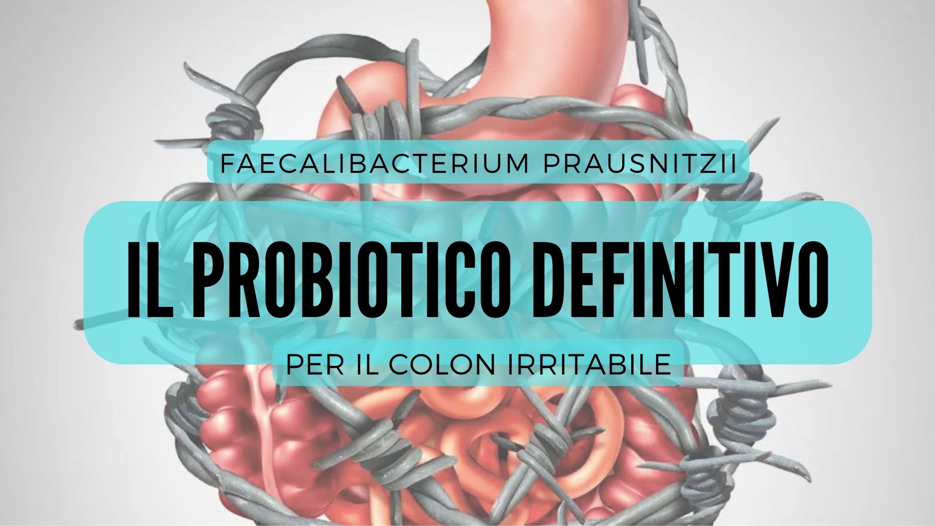 Colon Irritabile? Il Probiotico Definitivo (Faecalibacterium prausnitzii)